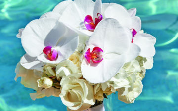 Aruba Wedding Flowers | When in Aruba