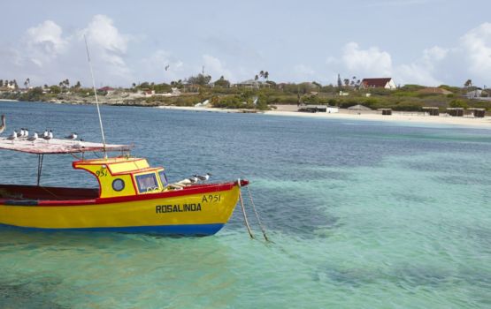 Fruits of Aruba | When in Aruba