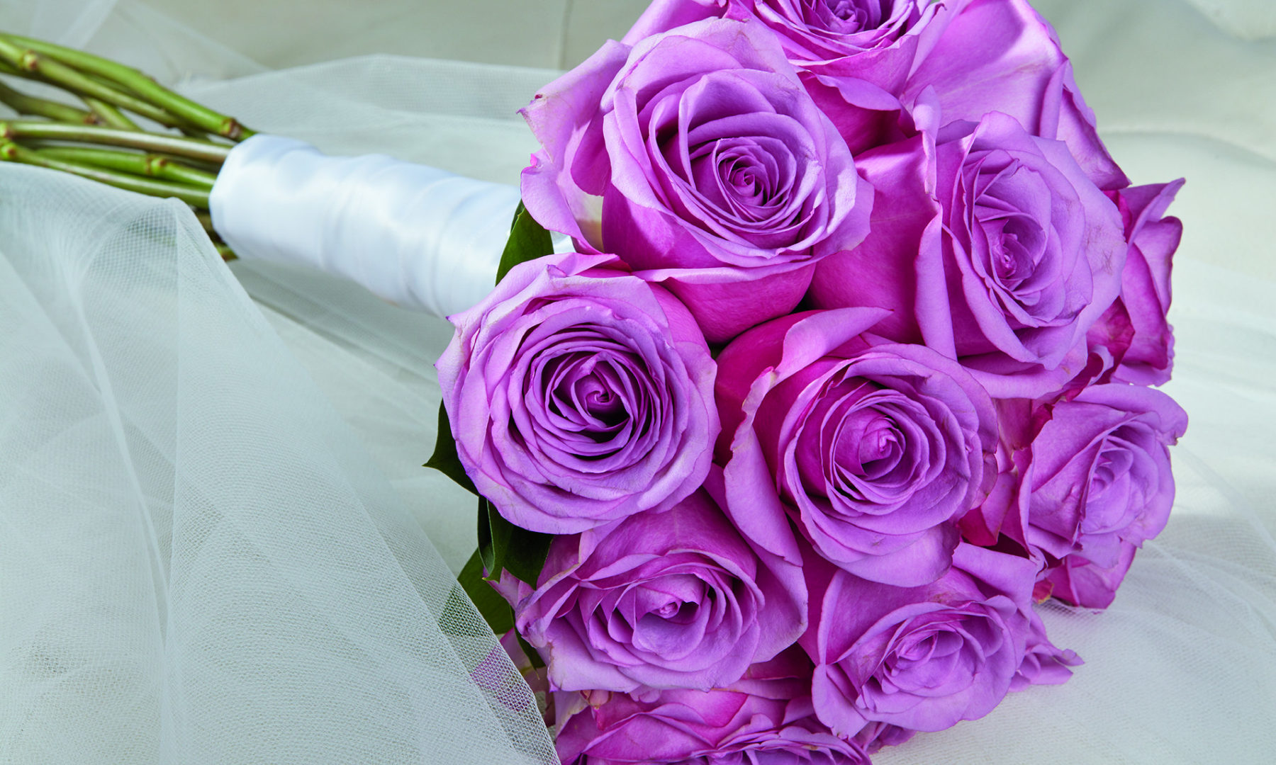 Elsa's Flowers & Art