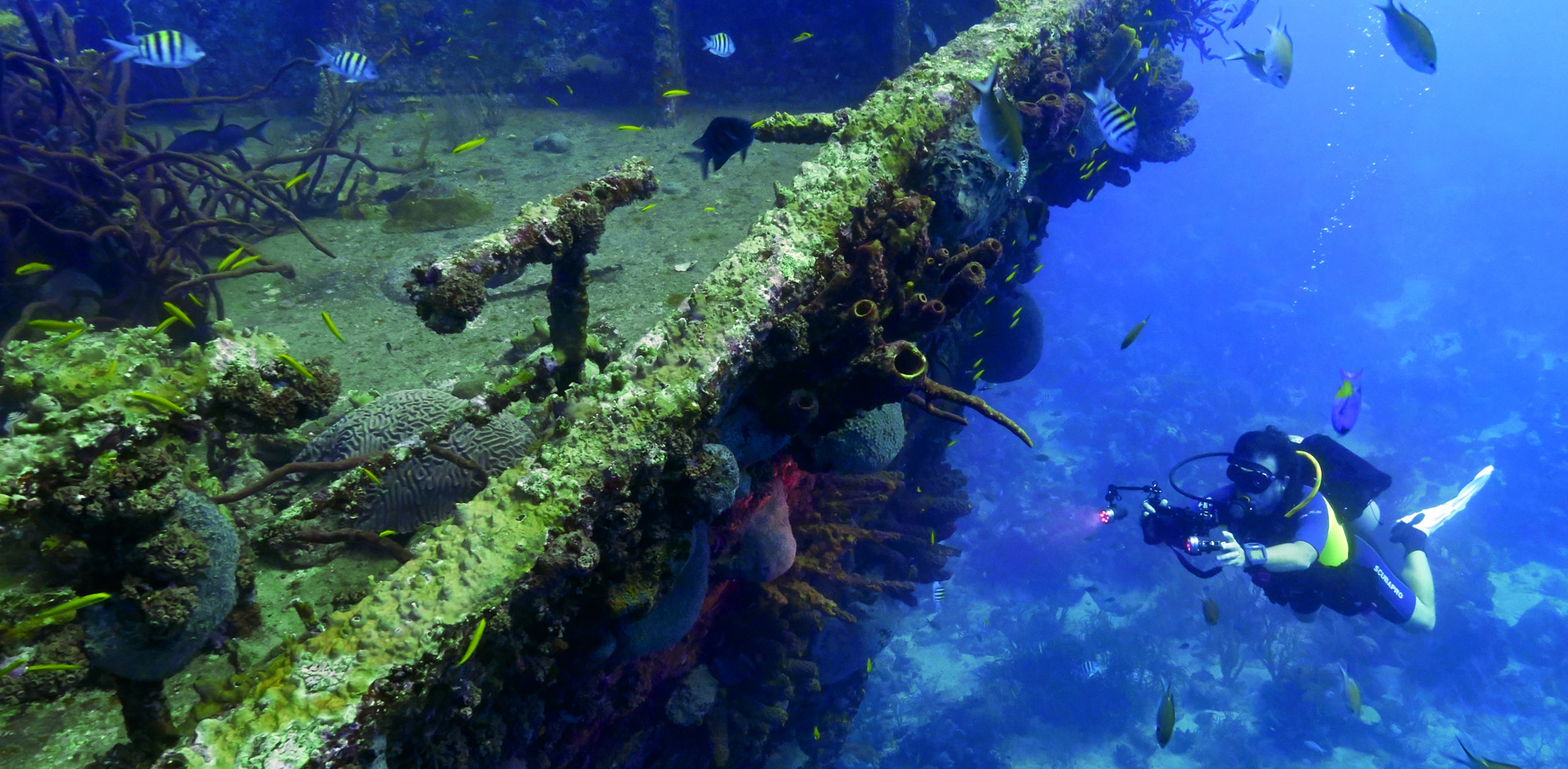 Explore the Wrecks of Aruba | When in Aruba