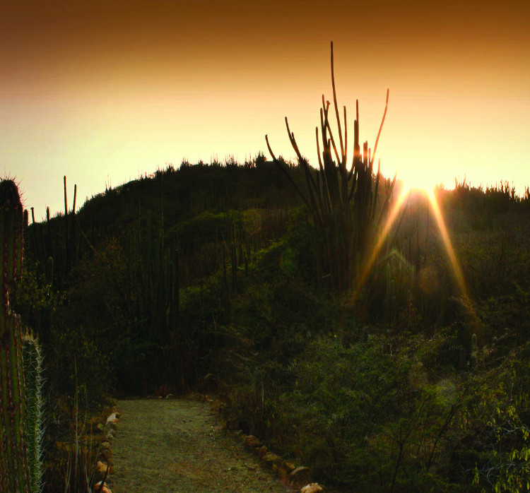 Hike & Bike in Arikok National Park | When in Aruba