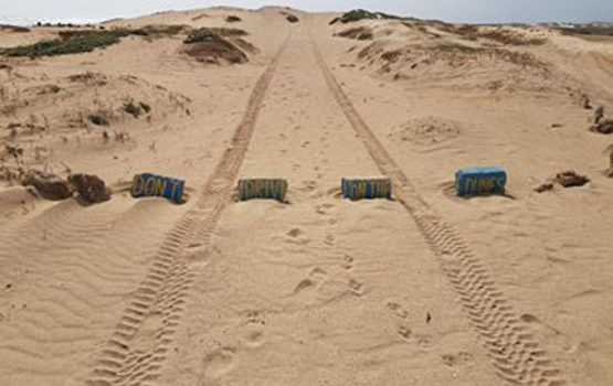 Aruba Activities Guide | When in Aruba