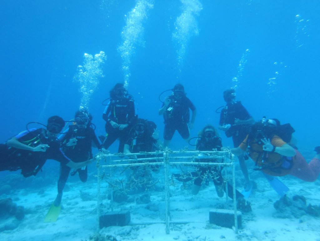 Saving Aruba's Reefs | When in Aruba