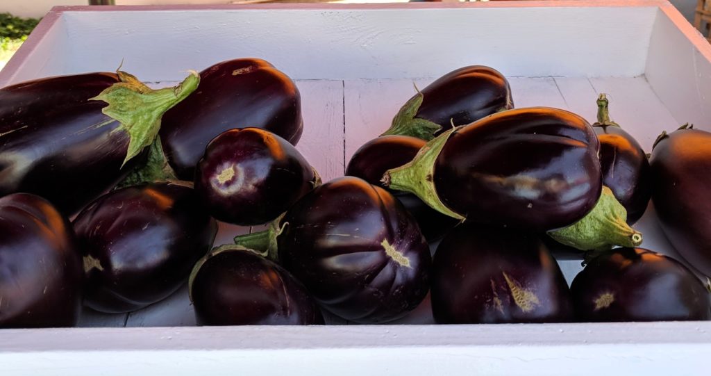 Aruba Farmer's Market | When in Aruba