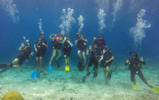 Aruba Activities Guide | When in Aruba