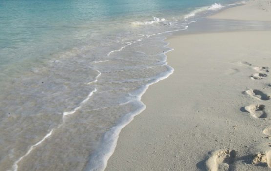 Aruba Activities Guide | When in Aruba