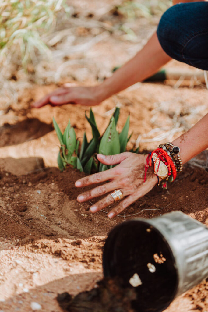 Celebrating an eco-pioneer in a most fitting way!