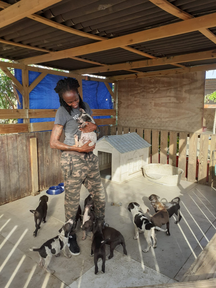 Recycling & Fundraising with Balashi Brewery and Luna Foundation